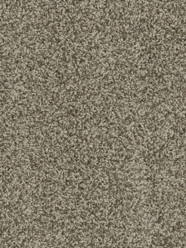 Cost Less Carpet | Carpeting